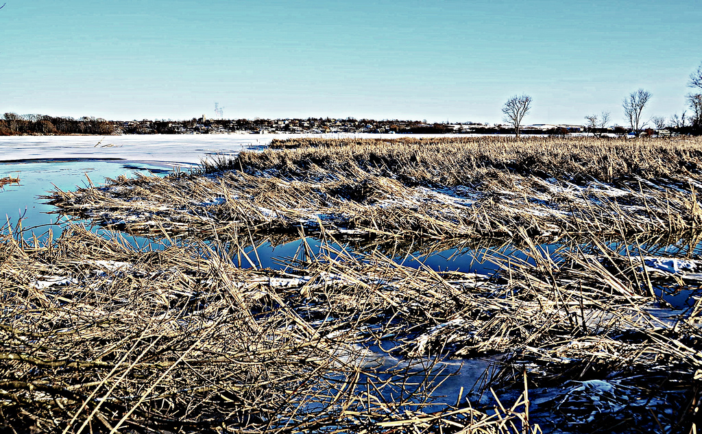 February Update 2019 | Friends of Kingston Inner Harbour