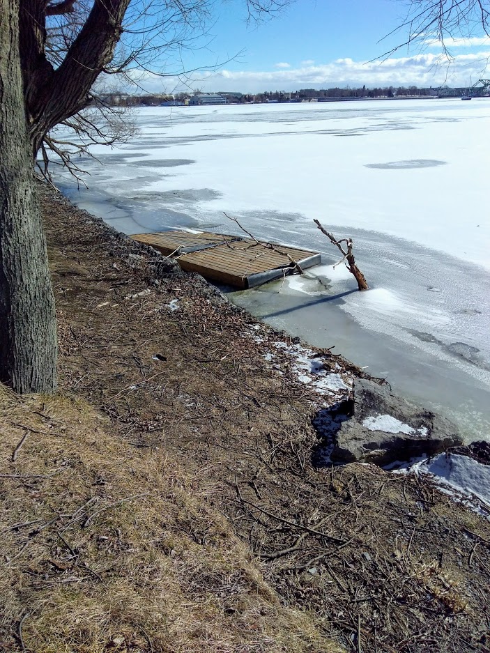 January Update 2021 | Friends of Kingston Inner Harbour